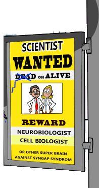 Scientist wanted! Please share! Opportunity for investigator´s ...